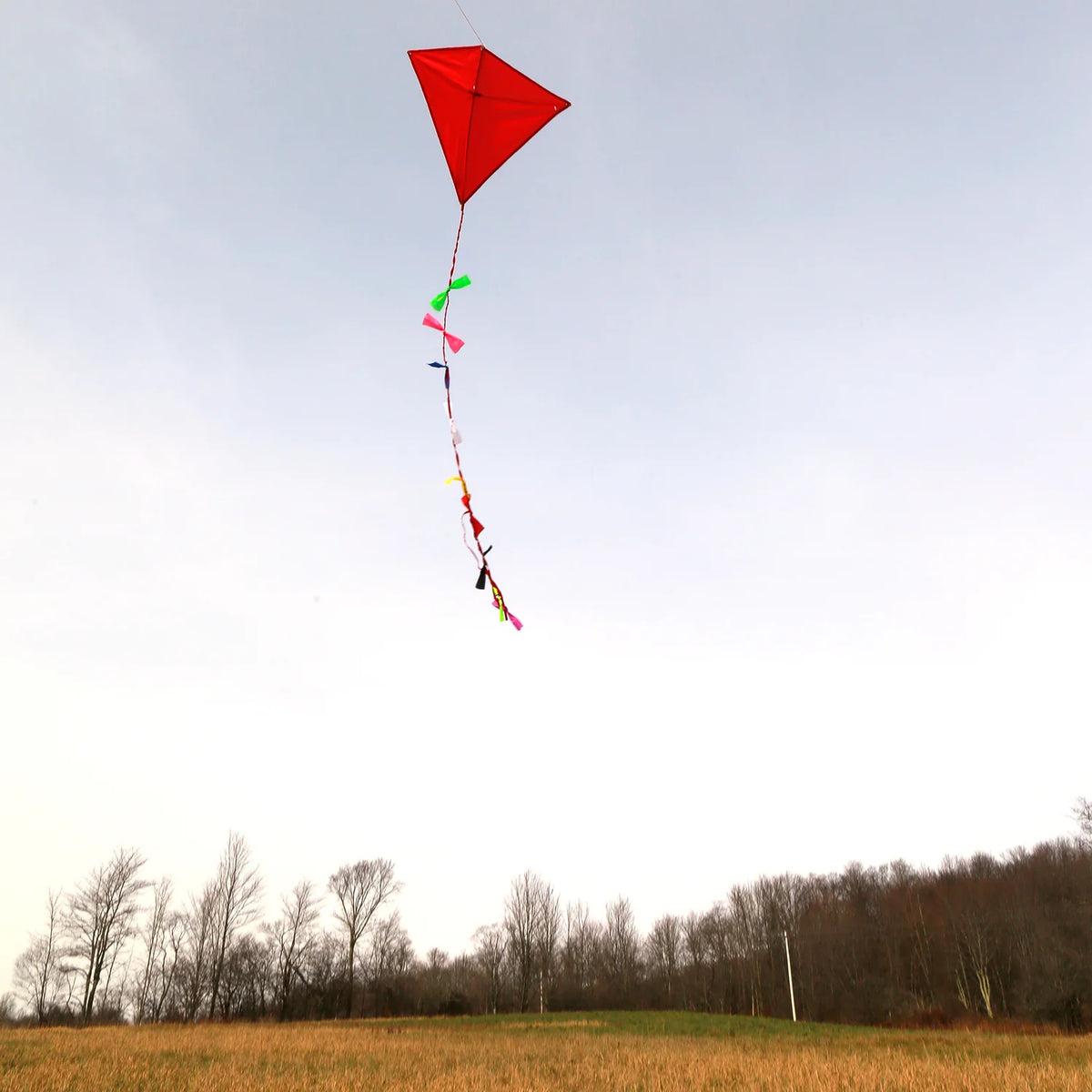 Huckleberry Red Kite – Toy-Box@hants